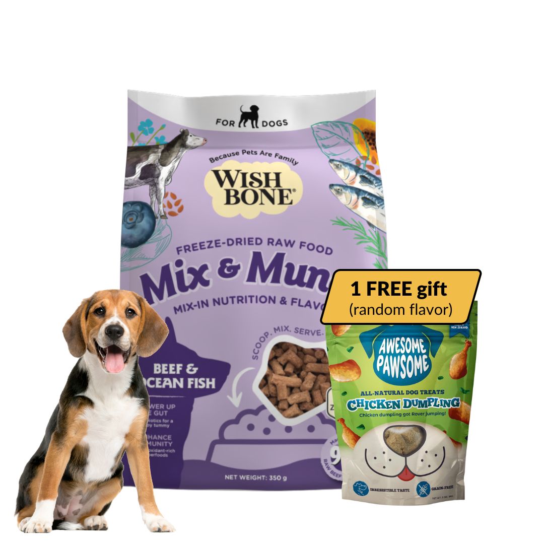 Wishbone Ocean New Zealand King Salmon, Gluten Free, Grain Free Dry Do ...