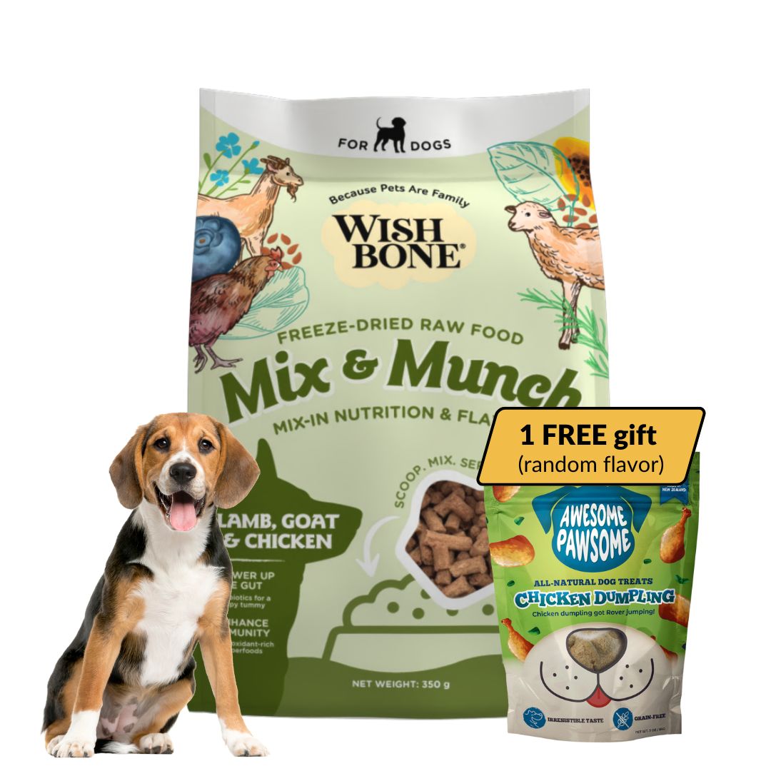 Wishbone Ocean New Zealand King Salmon, Gluten Free, Grain Free Dry Do ...