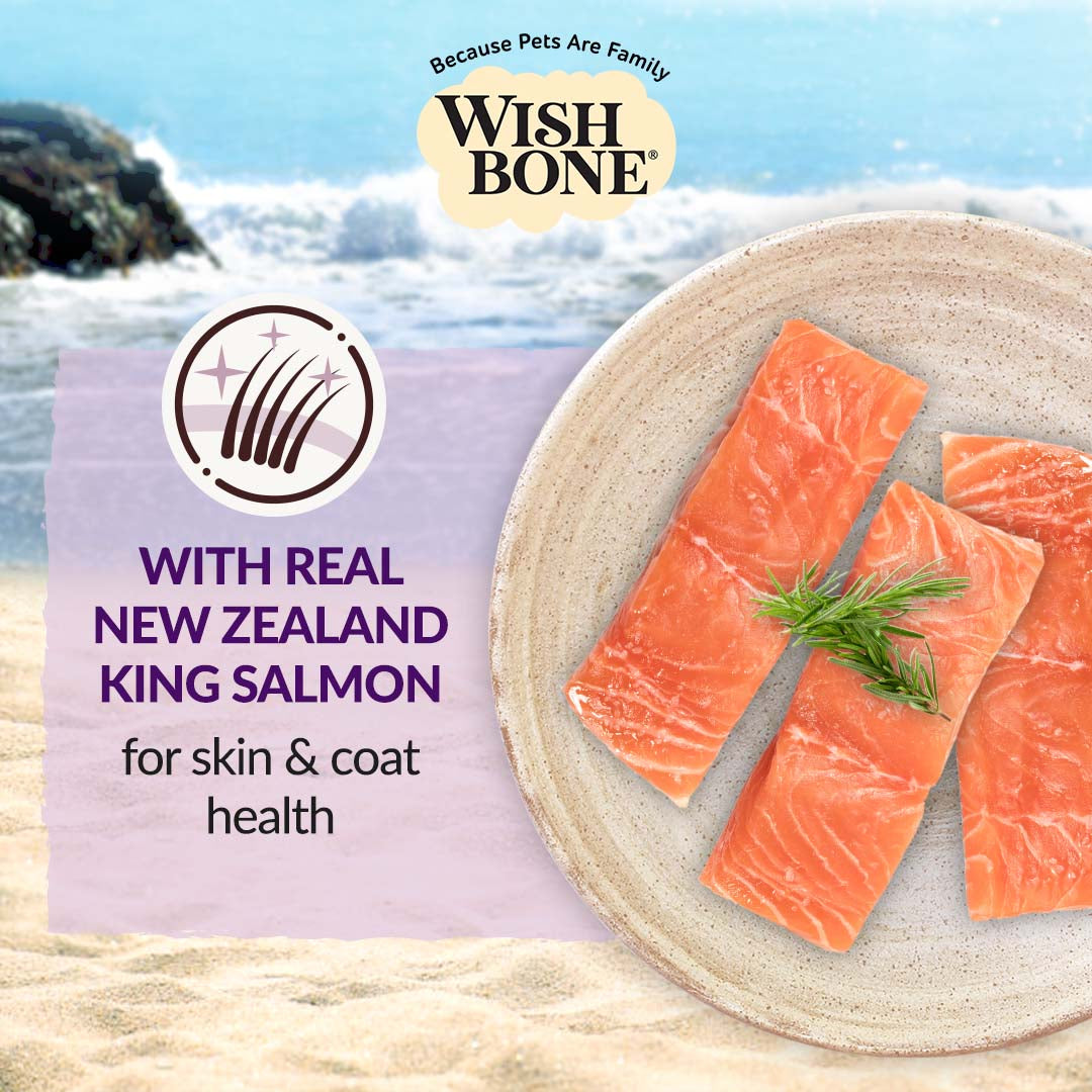 Wishbone Ocean New Zealand King Salmon, Gluten Free, Grain Free Dry Do ...